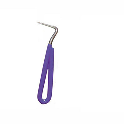 Lincoln Hoof Pick Purple (One Size) | DIY at B&Q