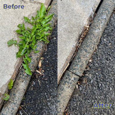 Liquipak Magic Weed Killer 5L, Fast Acting, Ready to Use, with Hose ...