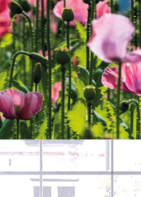 Lister Cartwright Blackout Roller Blind Pink Poppy Field Roller Blinds ...