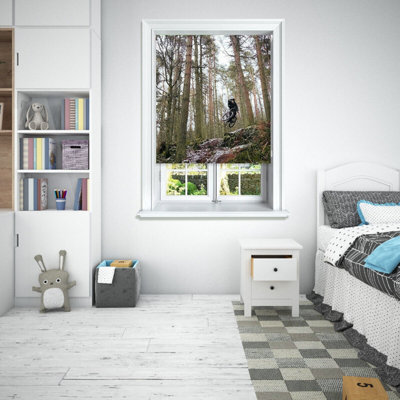 Lister Cartwright Photographic Blackout Roller Blinds For Bedroom ...
