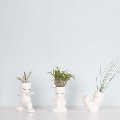 Little Knights Interior Emulsion Paint - Matte - Salix Alba - 2.5 litre