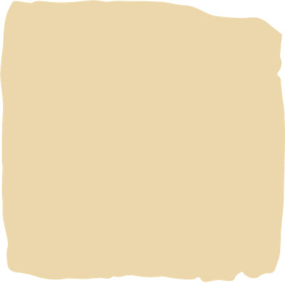 Little Knights Silk Emulsion Paint 100% VOC Free - Honey Beige - 5L