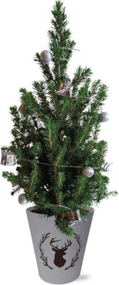 Living 60-65cm Picea Mini Christmas Tree-Conifer with Silver Garland ...