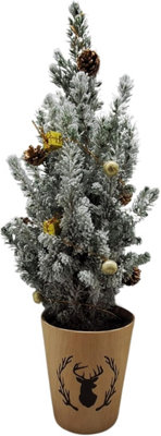 Living 60-65cm Picea Mini Christmas Tree - Conifer with Snow, Gold ...