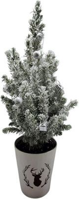 Living 60-65cm Picea Mini Christmas Tree-Conifer with Snow Silver ...