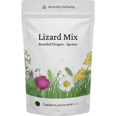 Lizard Forage Mix Seeds - 100g - Grow Your Own Grass & Edible Flowers ...