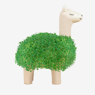Llama Ceramic Planter With Seeds Growing Kit