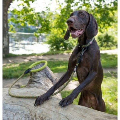 Long Paws Comfort Collection Rope Lead Green 75cm | DIY at B&Q