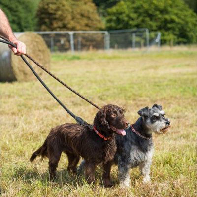 Long Paws Comfort Collection Rope Leash, with Tigger Clip, 120cm / 48in ...