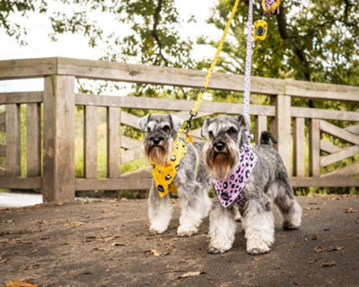 Long Paws - Funk the Dog Lead-Pink Leopard Medium