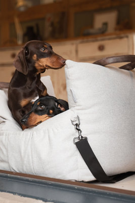 Lords & Labradors Easy Dog Traveller