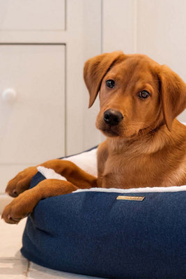 Lords & Labradors Essentials Twill Dog Box Bed