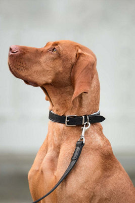 Lords & Labradors Italian Leather Dog Collar
