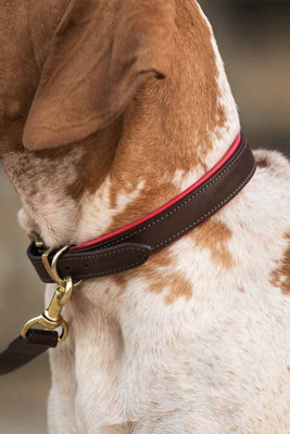Lords & Labradors Italian Leather Dog Collar
