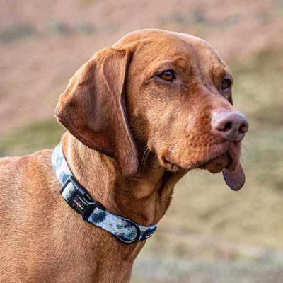 LP Funk the Dog Collar-Paint Splodge Grey Small 22-29 cm