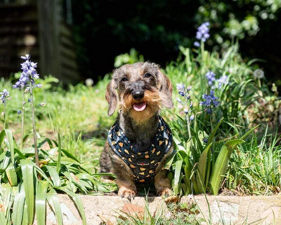 LP Funk the Dog Harness-Leopard Green Gold Small