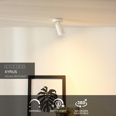 Lucide Xyrus Modern Ceiling Spotlight 9cm - LED Dim to warm - GU10 ...