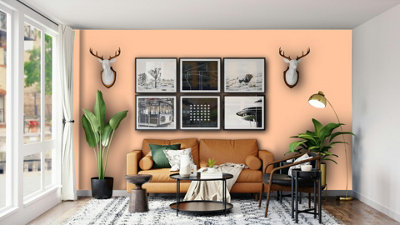 Macpherson Trade Walls & Ceilings Vinyl Matt Emulsion Paint Pantone 713 ...