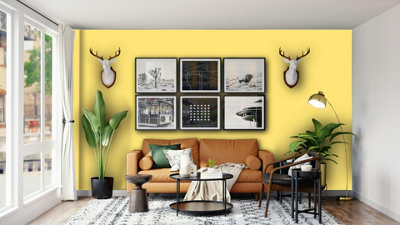 Macpherson Trade Walls & Ceilings Vinyl Matt Emulsion Paint RAL 095 90 ...