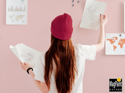 Magnet Paint 1L - turns virtually any smooth flat surface into a ...