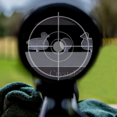 Magnetic Gallery Target Duck Knockdown Pellet Trap Knock Down Hunt Air ...