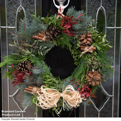 Make Your Own Festive Christmas Wreath Kit x 1 - DIY Wreath including ...