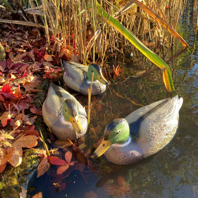 Mallard Duck Hunting Shooting Floating Decoy Pond Decoration Large (Set ...