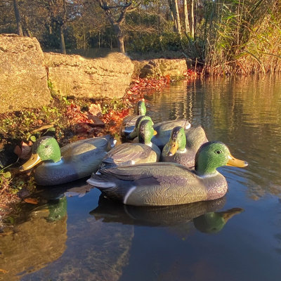 Mallard Duck Hunting Shooting Floating Decoy Pond Decoration Large (Set ...