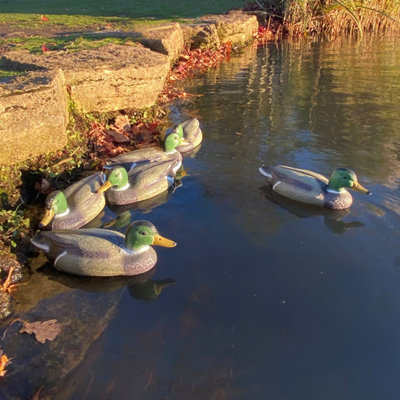 Mallard Duck Hunting Shooting Floating Decoy Pond Decoration Large (Set ...