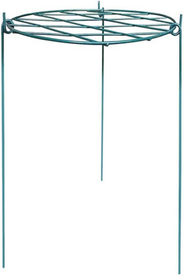 MantraRaj Plant Stand Ring Support Iron Round Plant Support With Grid ...