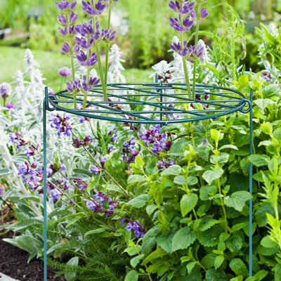 MantraRaj Plant Stand Ring Support Iron Round Plant Support With Grid ...
