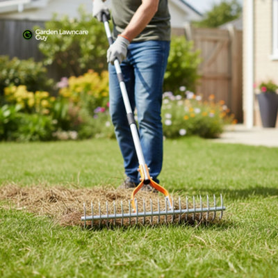 Manual Lawn Scarifier / Thatch Removal Rake