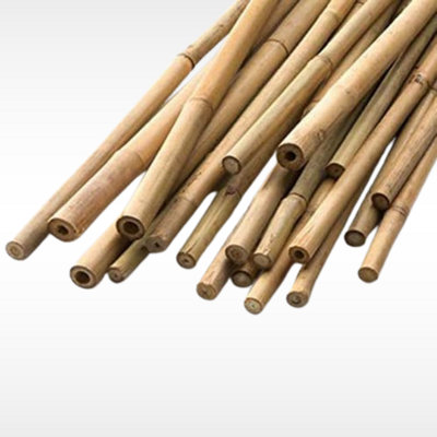 Marco Paul 90cm 20pc Bamboo Canes Gardeners Essential Strong Durable and Long Lasting Garden ...