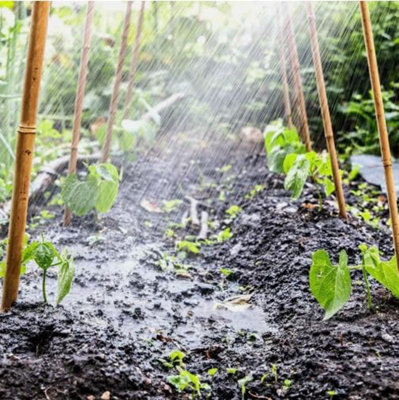 Marco Paul 90cm 20pc Bamboo Canes Gardeners Essential Strong Durable and Long Lasting Garden ...