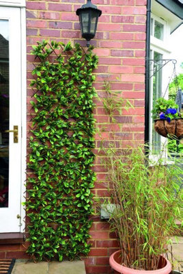 Marco Paul Artificial Garden Lemon Leaf Trellis 1.8m