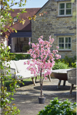 Marco Paul Artificial Pink Cherry Blossom Tree - 140cm