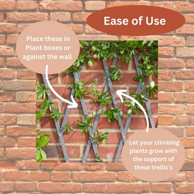 Marco Paul Slate Grey 1.8m x 0.9m Heavy Duty Plant Support Wooden ...