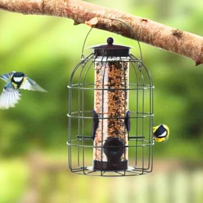 Marco Paul Squirrel Proof Seed Bird Feeder