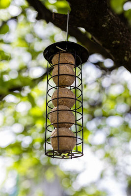 Marco Paul Wild Bird Fat Ball Feeders - Metal Mounted Station Bird ...