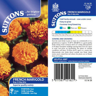 Marigold French Boy-O-Boy Mix 1 Seed Packet (120) | DIY at B&Q