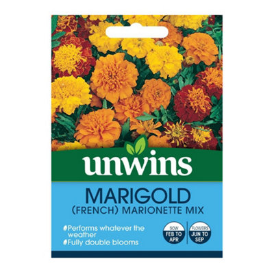 Marigold (French Marionette), Garden Flower Seeds Grow Your Own ...