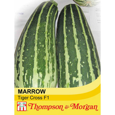 Marrow Tiger Cross F1 Hybrid 1 Seed Packet (12 Seeds)