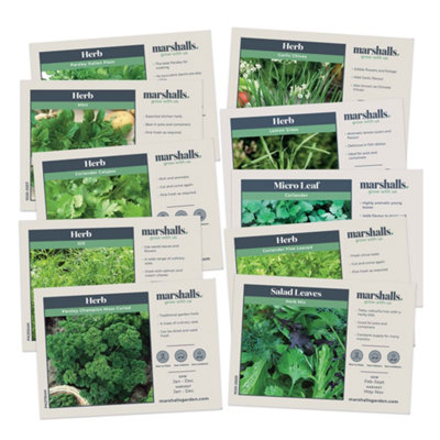 Marshalls Garden Complete Herb Seed Collection for Pots, Beds and ...