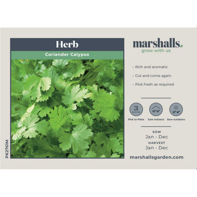 Marshalls Garden Coriander Seeds 'Calypso' Slow-to-Bolt Cut-and-Come ...