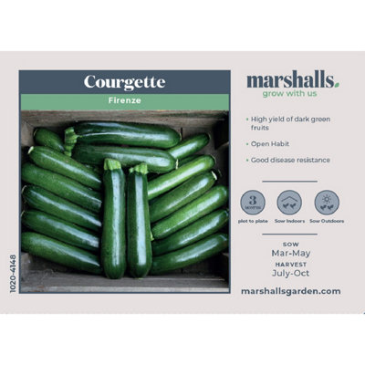 Marshalls Garden Courgette Seeds 'Firenze' - 12 seeds, fast-growing ...