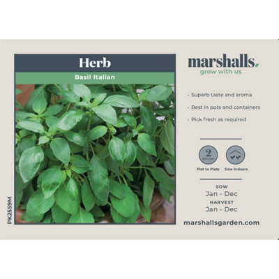 Marshalls Garden Italian Basil Seeds - 50 Pelleted Seeds, High-Yield ...