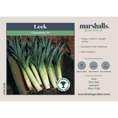 Marshalls Garden Leek Seeds Lancaster F1 (Approx. 50 Seeds) - Winter ...