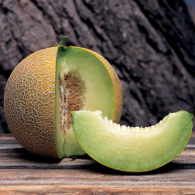 Marshalls Garden Masada Melon Seeds - Sweet Green-Fleshed Summer Melon ...