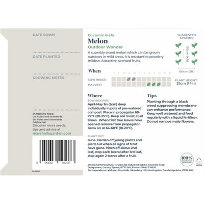 Marshalls Garden Melon Seeds Outdoor Wonder - Outdoor Melon for UK ...