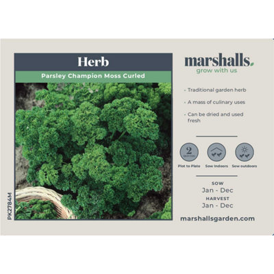 Marshalls Garden Parsley Seeds 'Champion Moss Curled' 800 Seeds